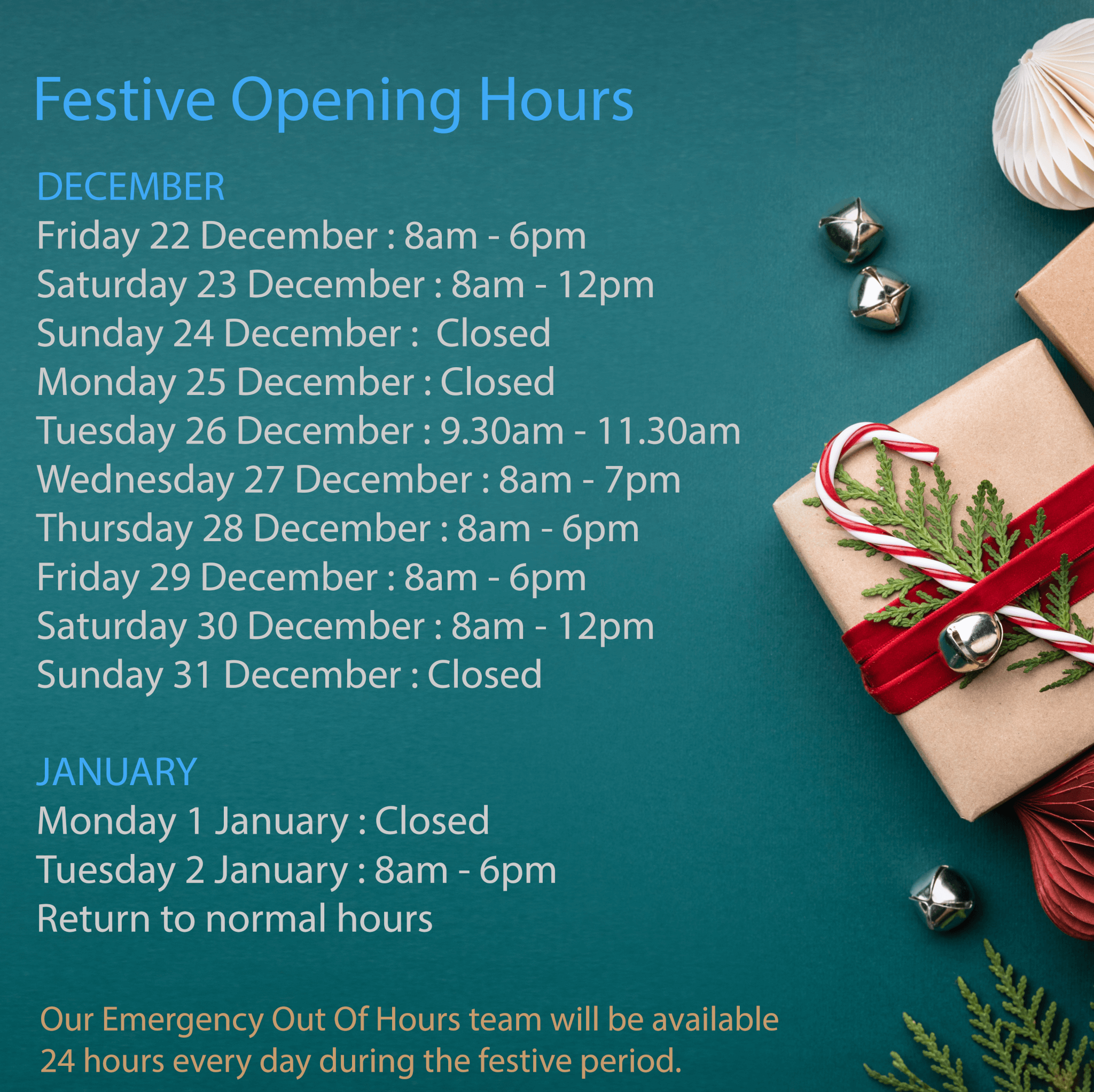 Festive opening hours 2023/2024 - Station House Vets