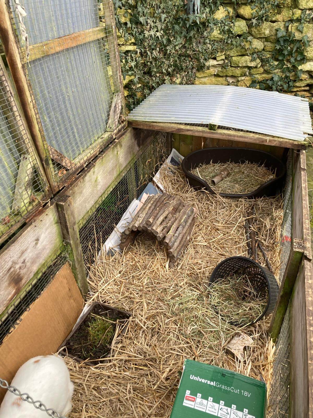 Focus on rabbits - vaccinations, feeding and novel composting ideas ...